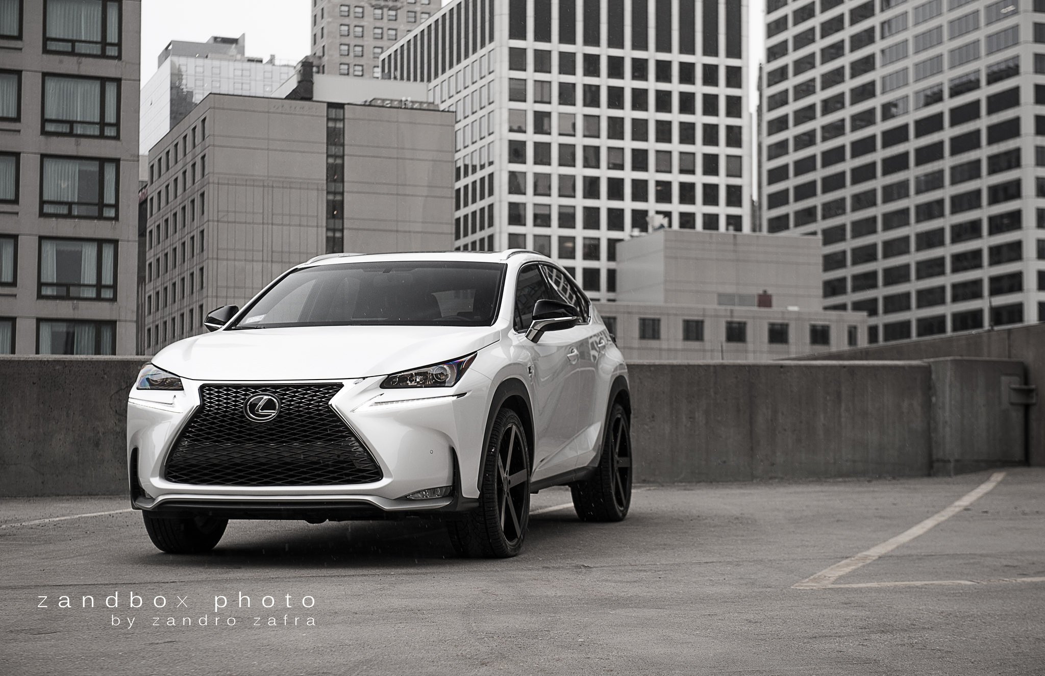 Imposing White Lexus NX Showing Off Matte Black Wheels | CARiD.com Gallery