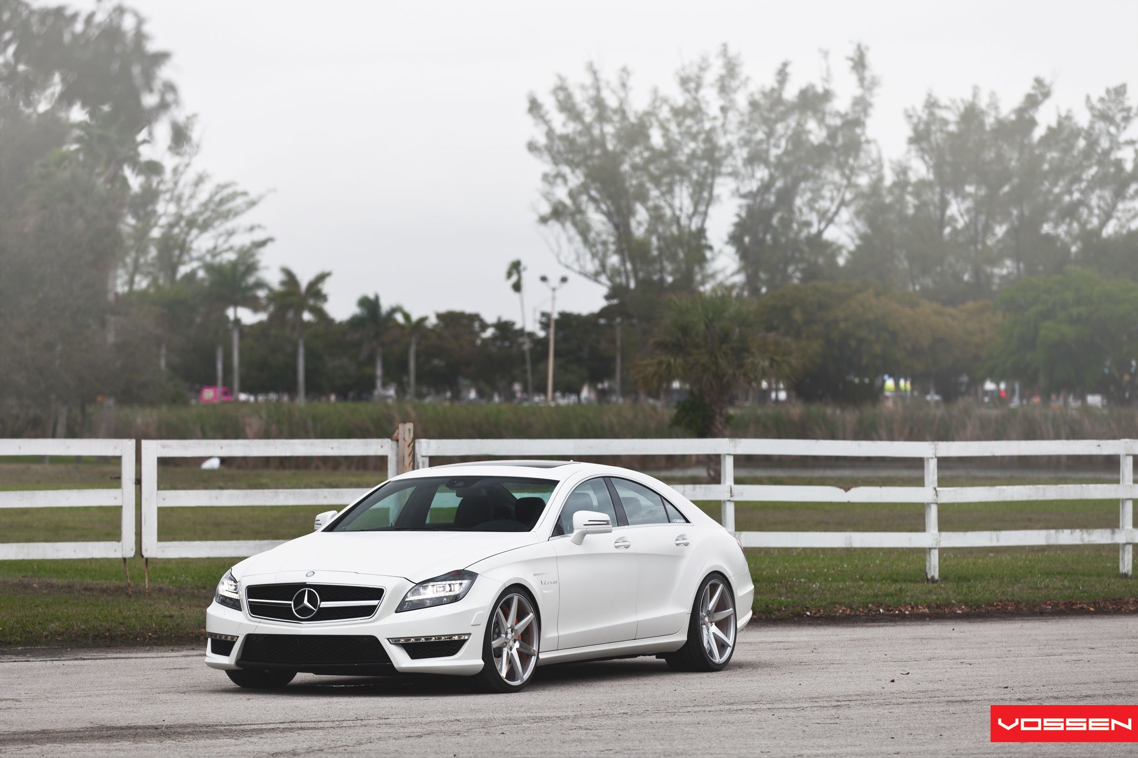 Luxurious Mercedes CLS Equipped With Vossen Custom Wheels | CARiD.com ...