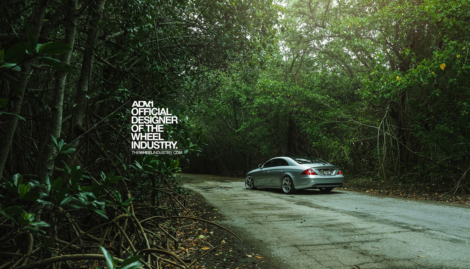 Pure Luxury - Lowered Mercedes CLS by ADV1 | CARiD.com Gallery