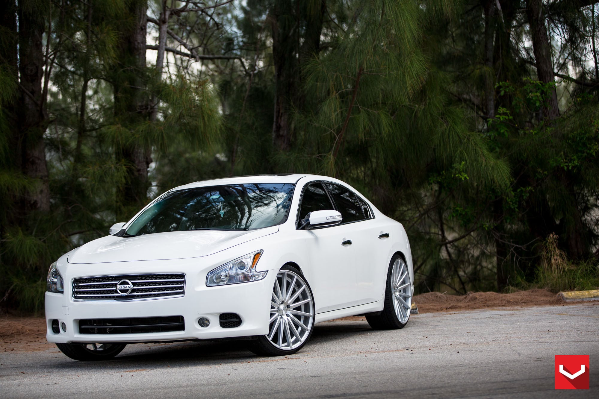 Slightly Tuned White Nissan Maxima | CARiD.com Gallery