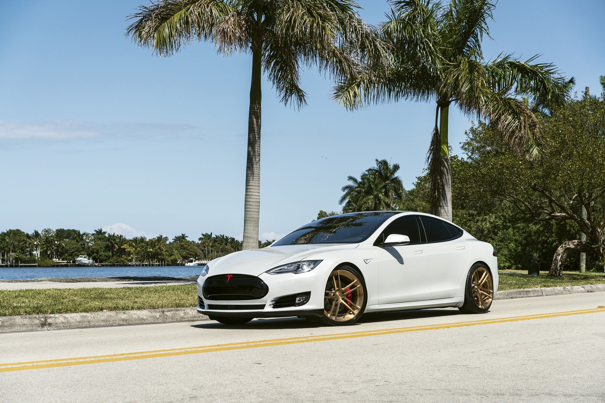 Electric Fiver - Classy Tesla Model S Rocking Niche Custom Wheels ...