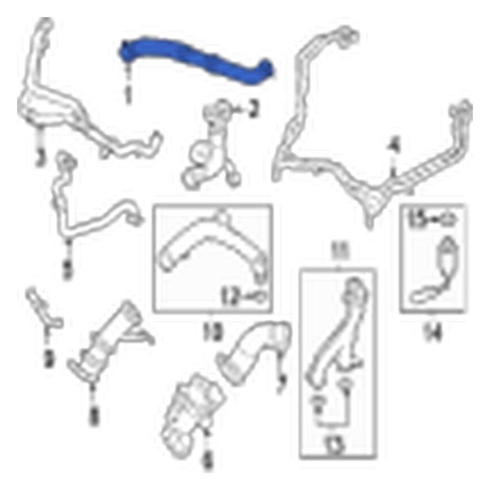 Jaguar OE C2D24902 - Upper Radiator Coolant Hose