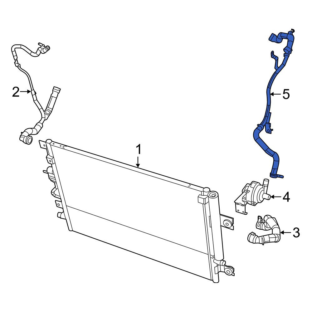 Jeep OE 68410359AD - Lower Radiator Coolant Hose