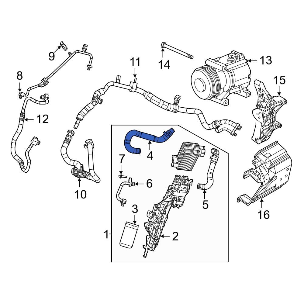 Jeep OE 68457393AA - Lower Radiator Coolant Hose