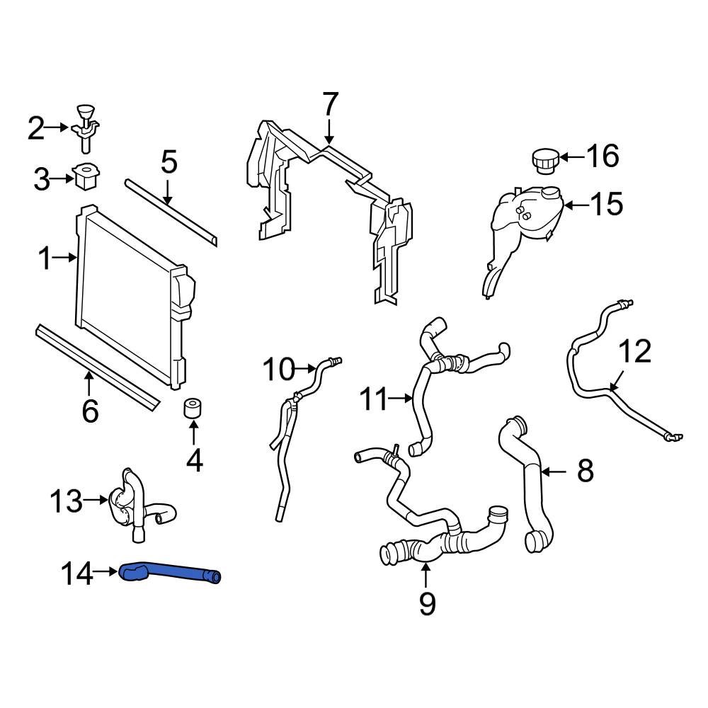 Mercedes-Benz OE 2215011984 - Lower Radiator Coolant Hose