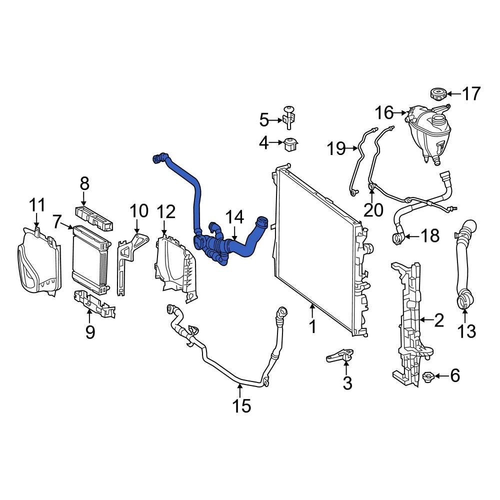 Mercedes-Benz OE 2225006572 - Lower Radiator Coolant Hose