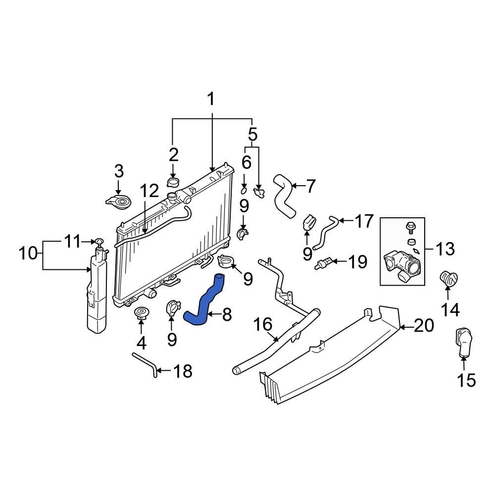Mitsubishi OE MN135701 - Lower Radiator Coolant Hose