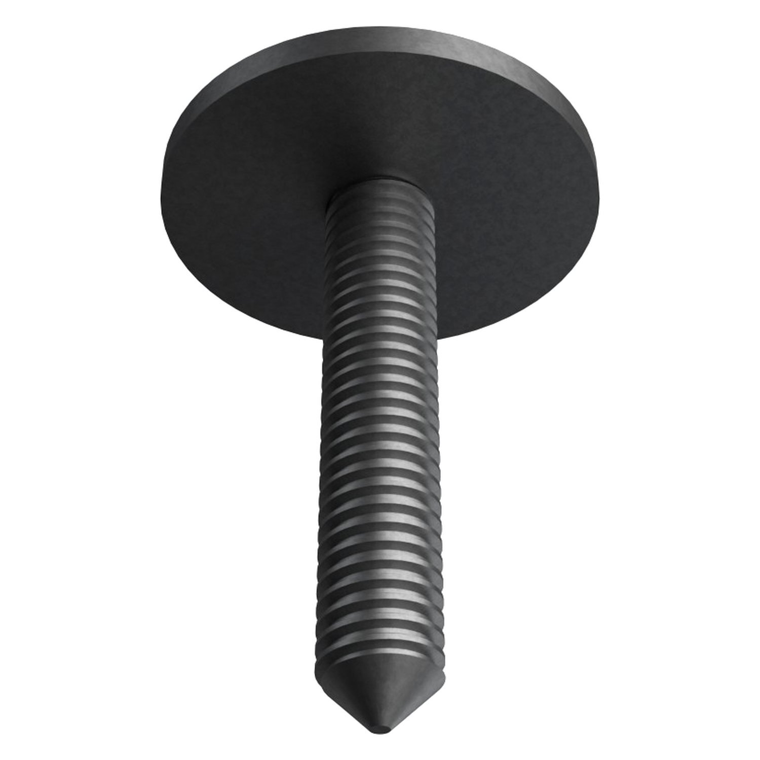 Ram OE 6510174AA - Wheel Arch Molding Screw