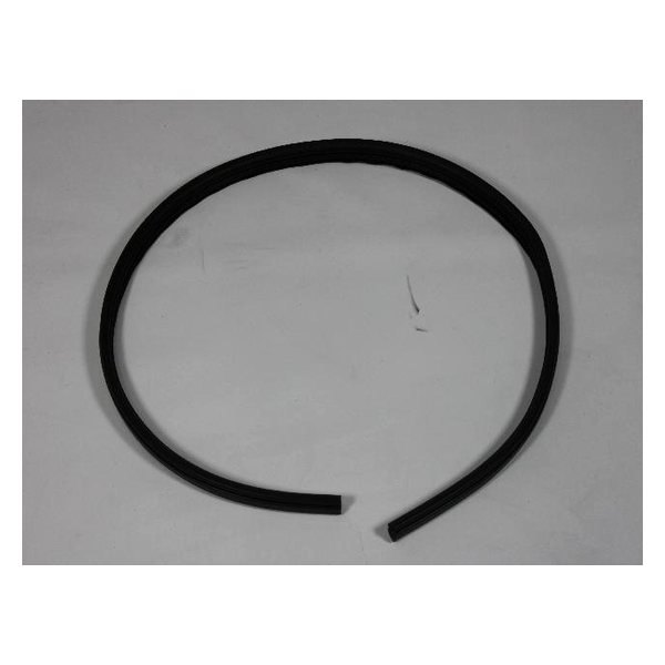 Mopar® 1EK87XXXAC - Front Door Seal