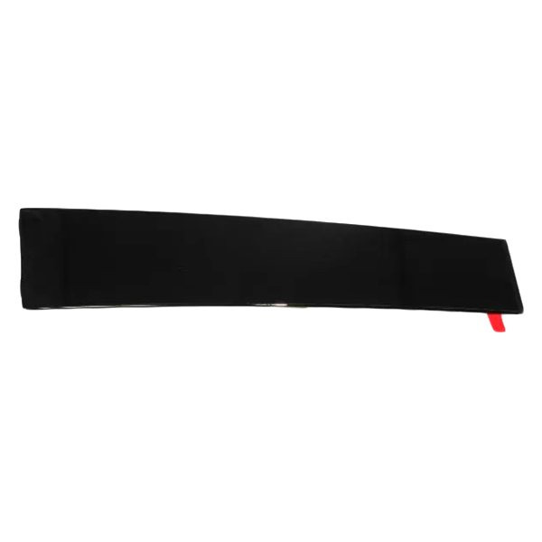 Mopar® 57010445AN - Front Driver Side Door Applique