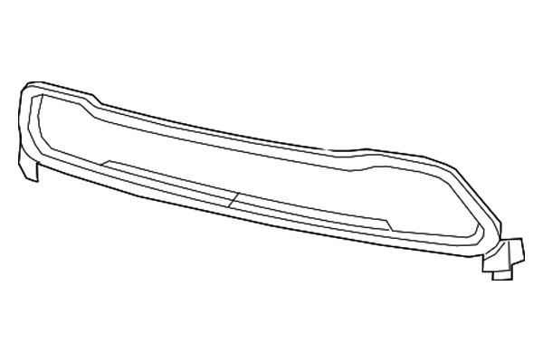 Mopar® 68210024AC - Grille Molding