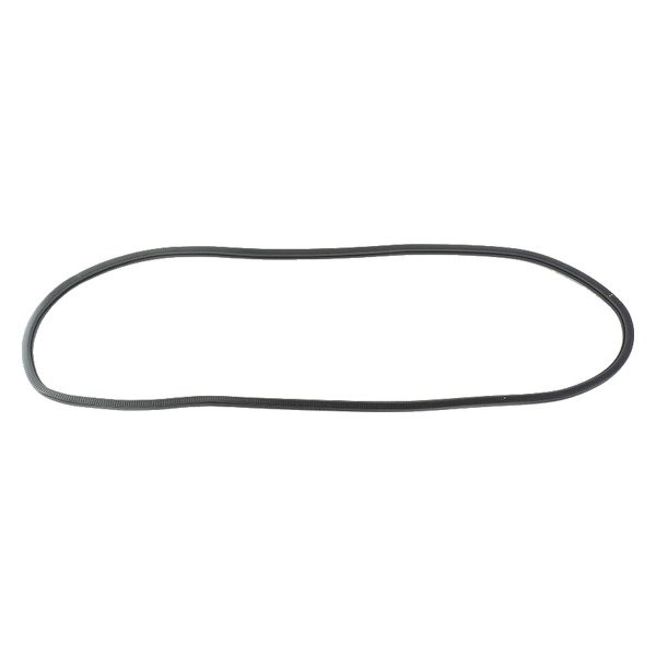 Mopar® 68313520AB - Front Door Seal