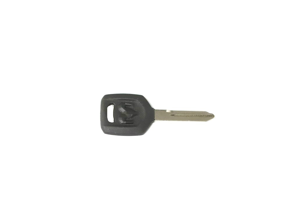Mopar® 68399888AA - Vehicle Key