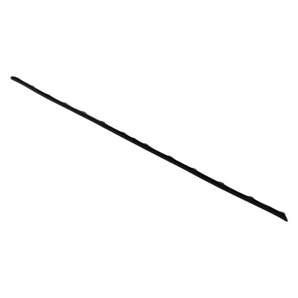 Mopar® 68601714AA - Passenger Side Rocker Panel Molding Trim Insert