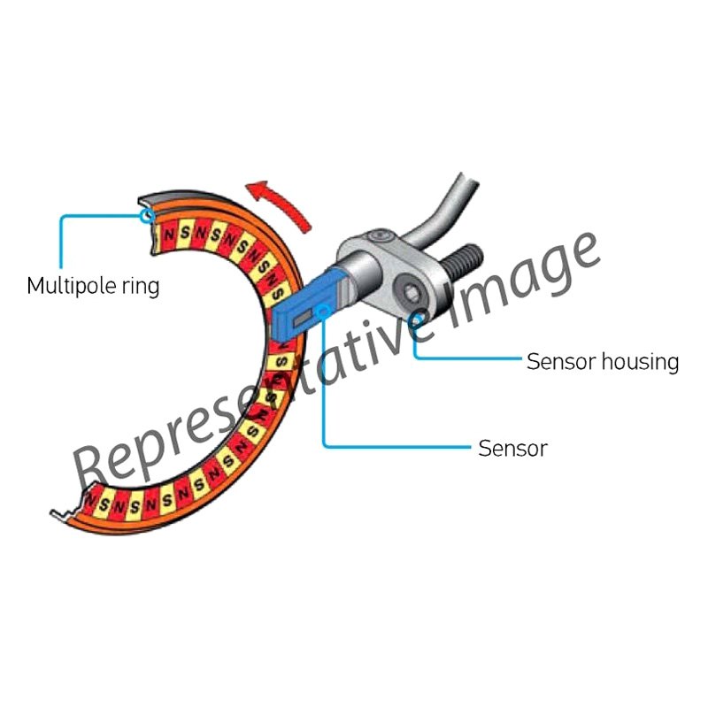 Motorcraft® BRAB631 - ABS Wheel Speed Sensor