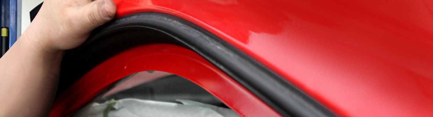 Car Roof Seals, Weatherstrips & Moldings | CARiD