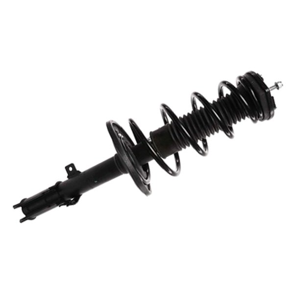 PRT® 816341 - Rear Passenger Side Strut Assembly
