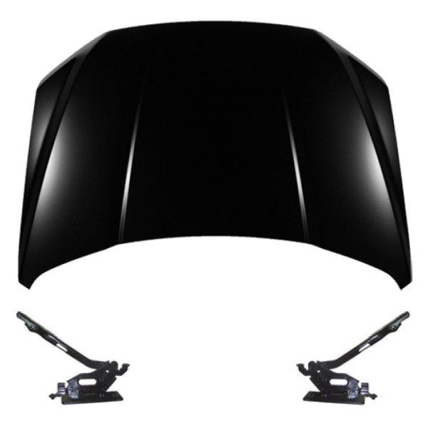 Replace® BNDL-201486 - 3-Piece (Hood Panel, Driver and Passenger Side ...
