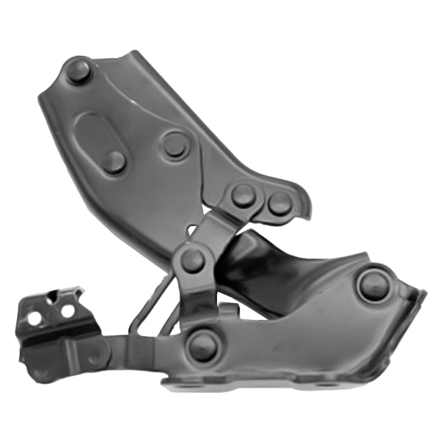 Replace® - Passenger Side Hood Hinge (Standard Line)