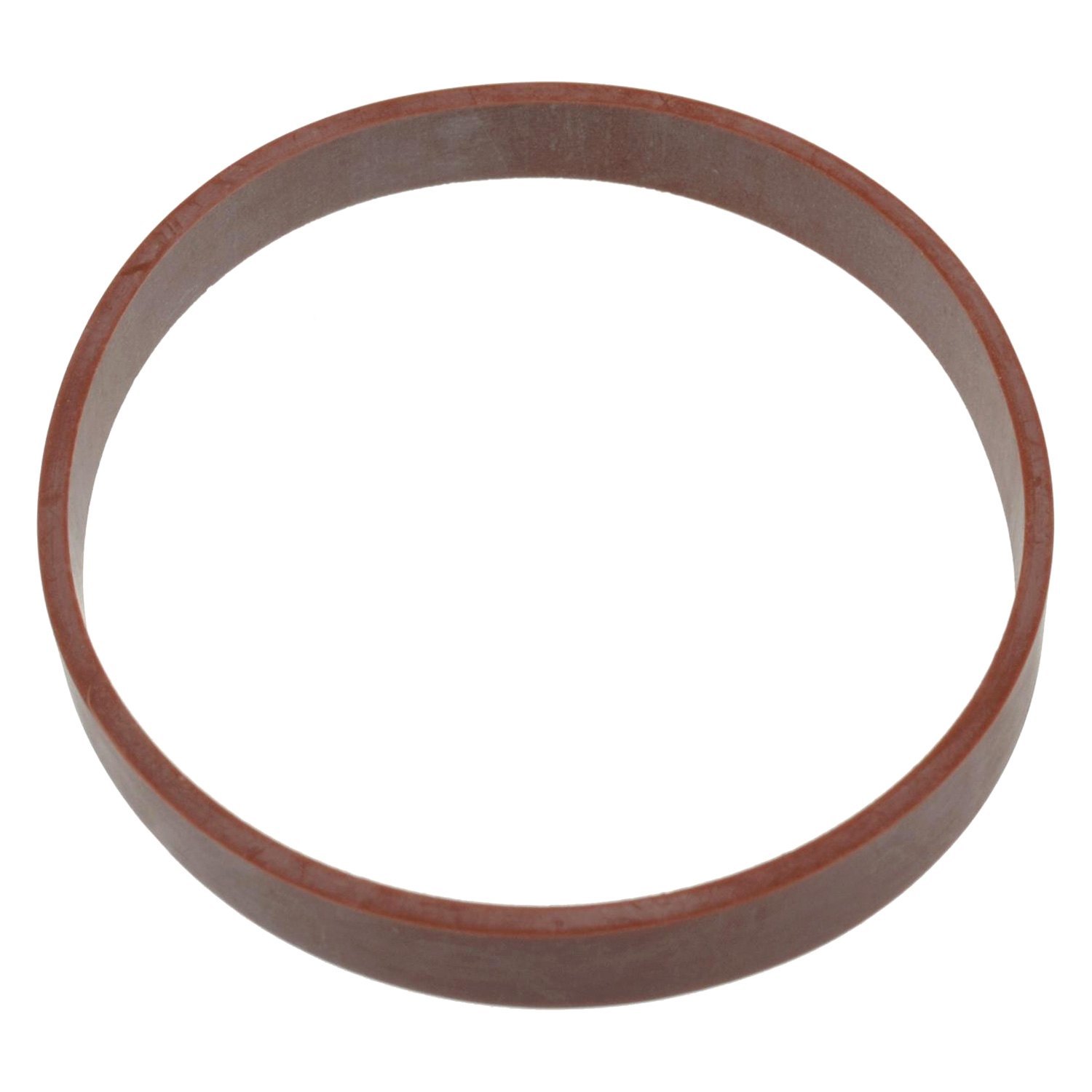 Standard® VG248 - Intermotor™ EGR Valve Gasket