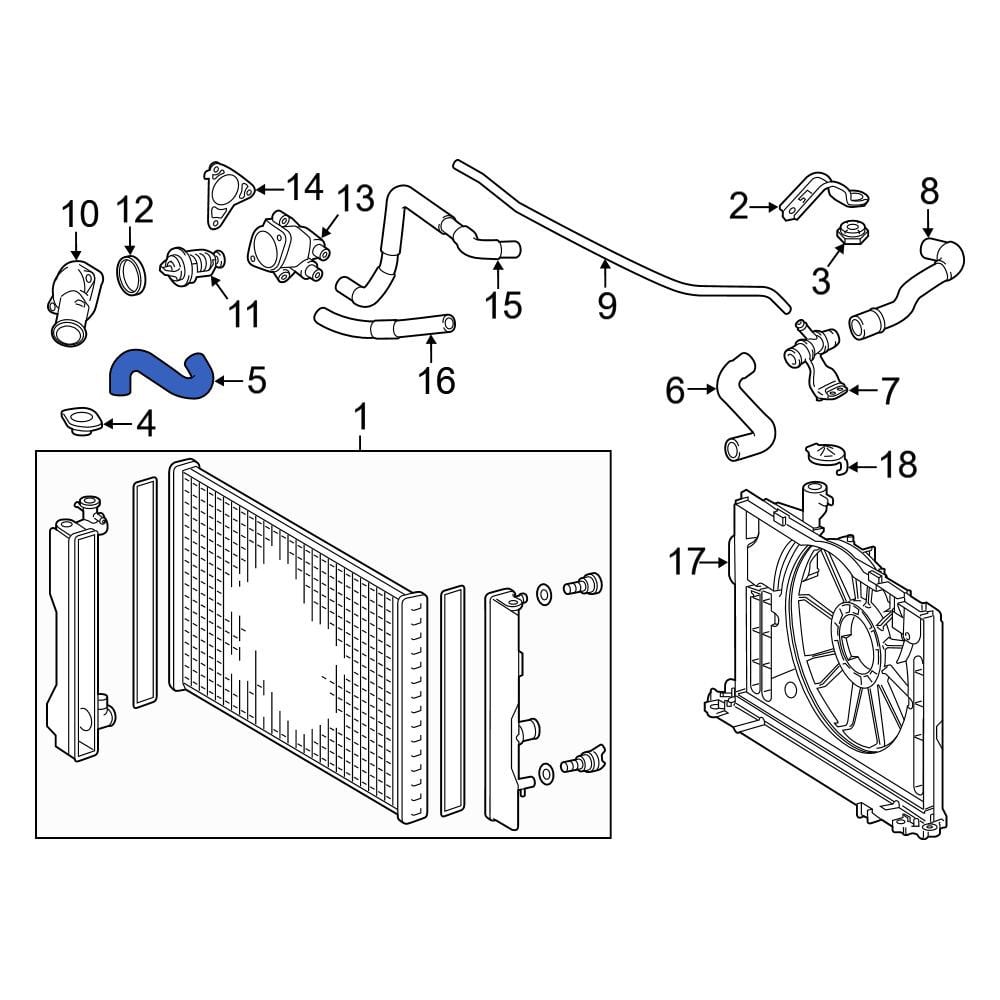 Toyota OE 165710T040 - Upper Radiator Coolant Hose