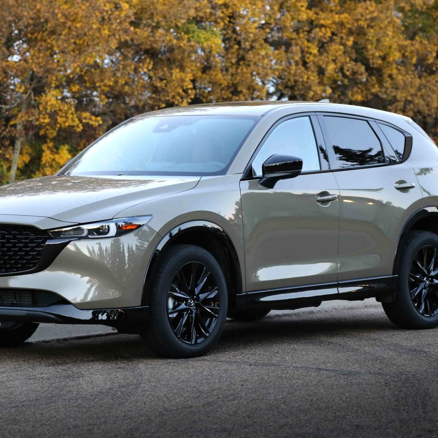 Trim Illusion® WT6022BLK - Gloss Black Window Trim Set