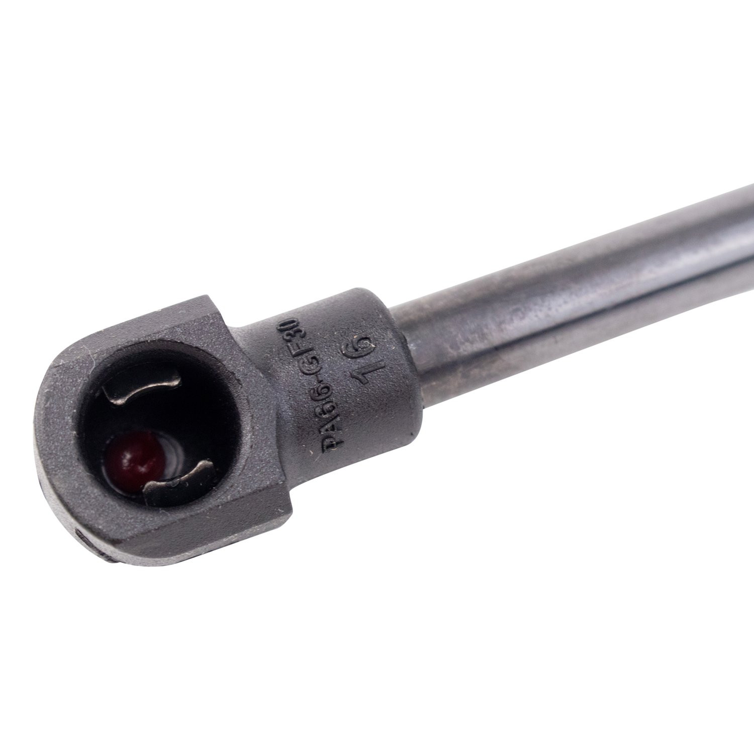 TRQ® GSA47912 - Driver or Passenger Side Liftgate Lift Support