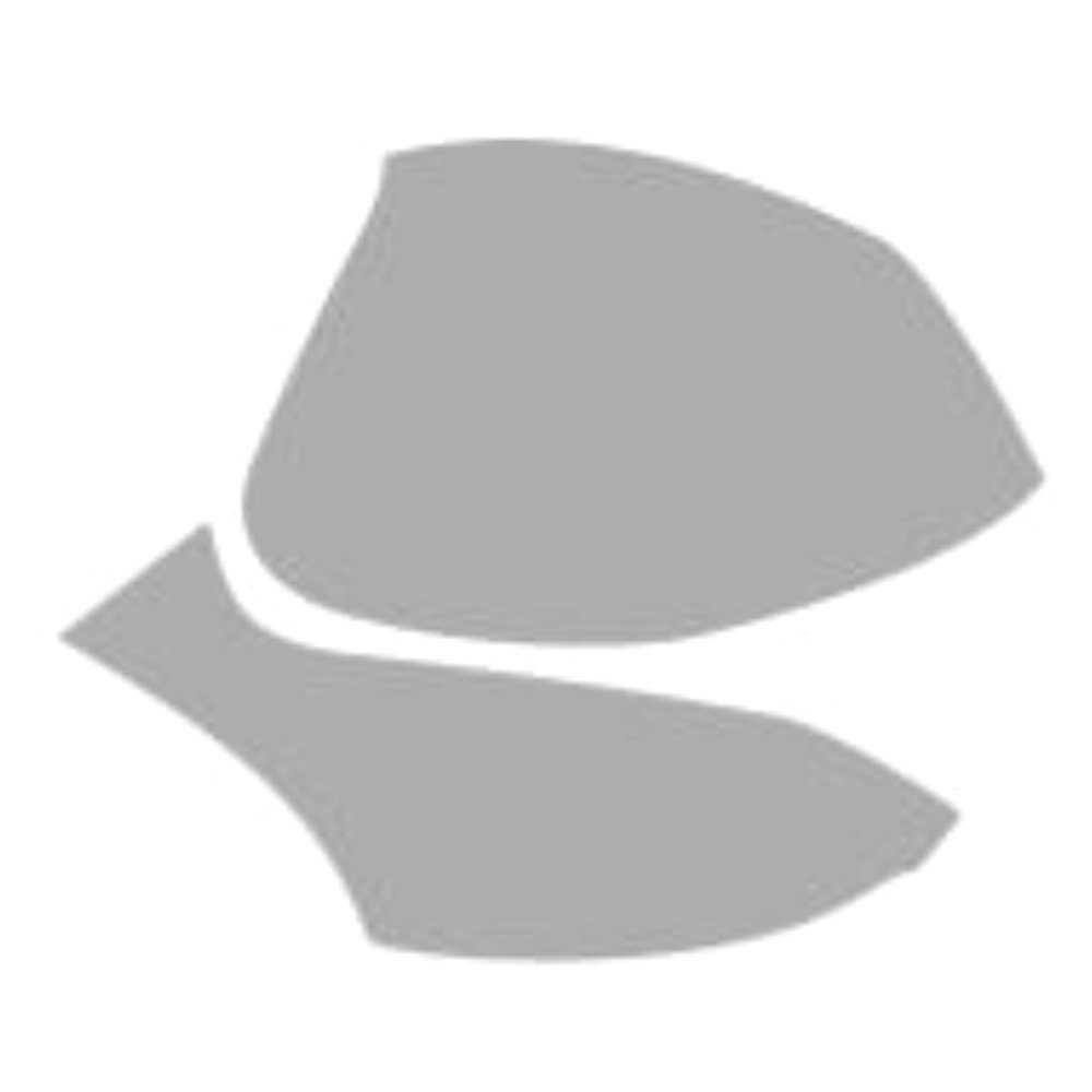 Vicrez® vpp29182 - Paint PPF Pre-Cut Driver Side Mirror Protection