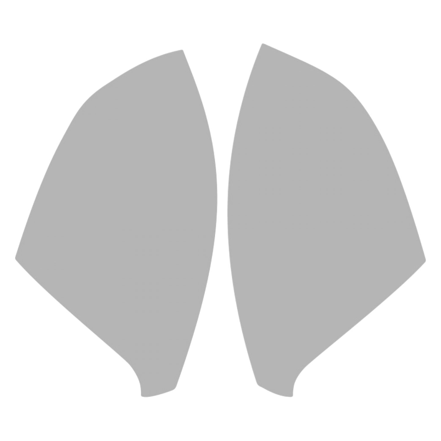 Vicrez® vpp7131 - Paint PPF Pre-Cut Mirrors Kit Protection