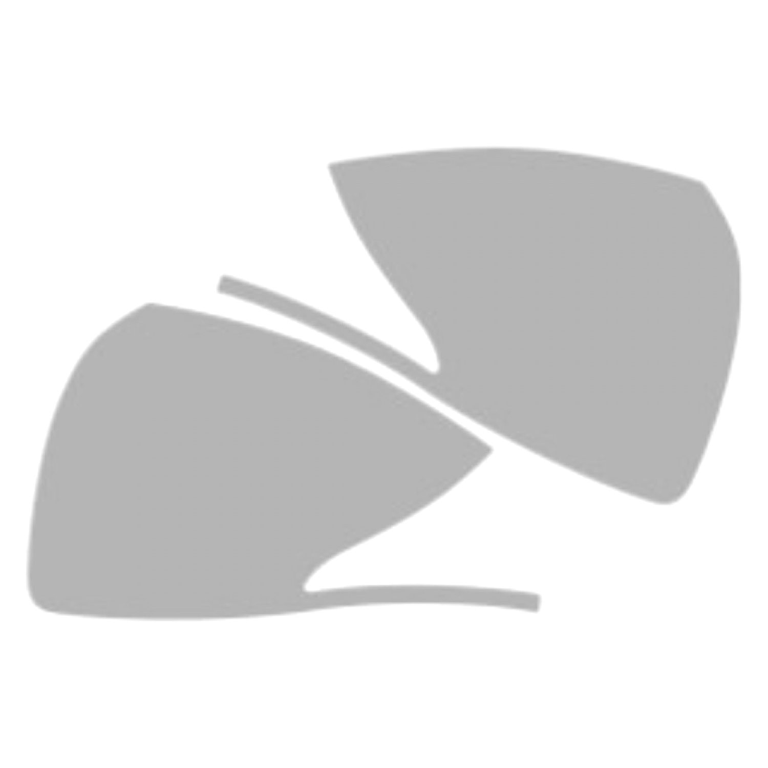 Vicrez® vpp9765 - Paint PPF Pre-Cut Mirrors Kit Protection