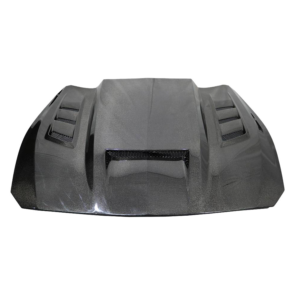 VIS Racing® 24FDMUS2DTM-010D - Terminator Style Carbon Fiber Double ...