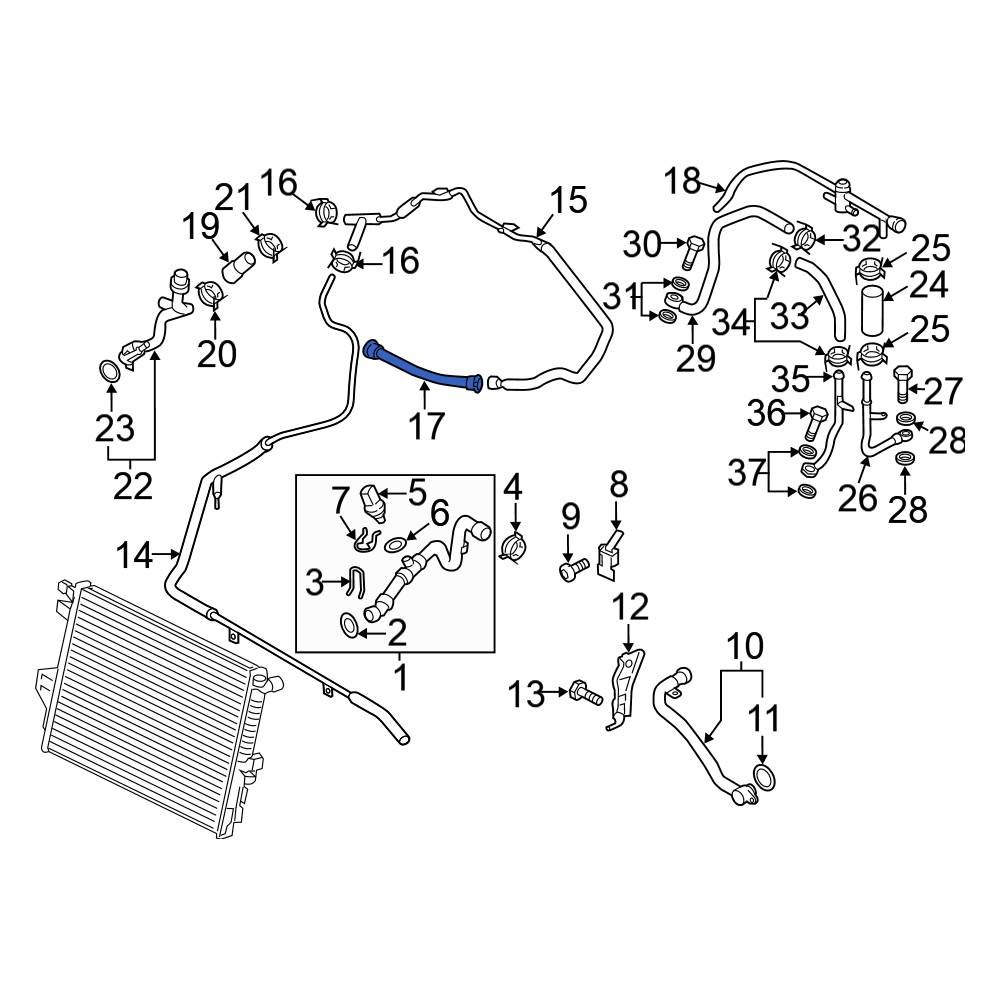Volkswagen OE 059121731D - Engine Coolant Reservoir Hose